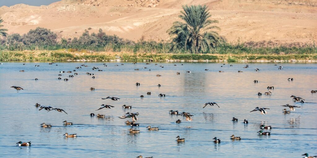 The Complete List of Lakes In Egypt - 33travels