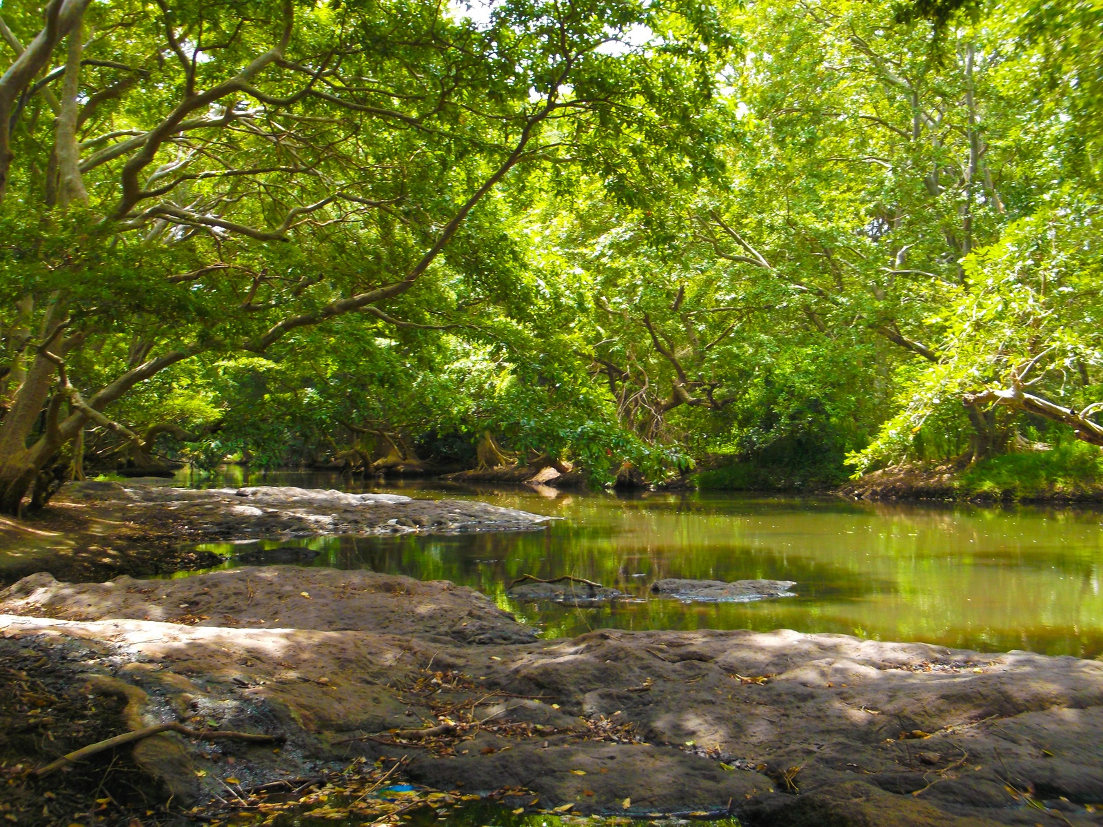 The Complete List of Rivers In Sri Lanka - 33travels