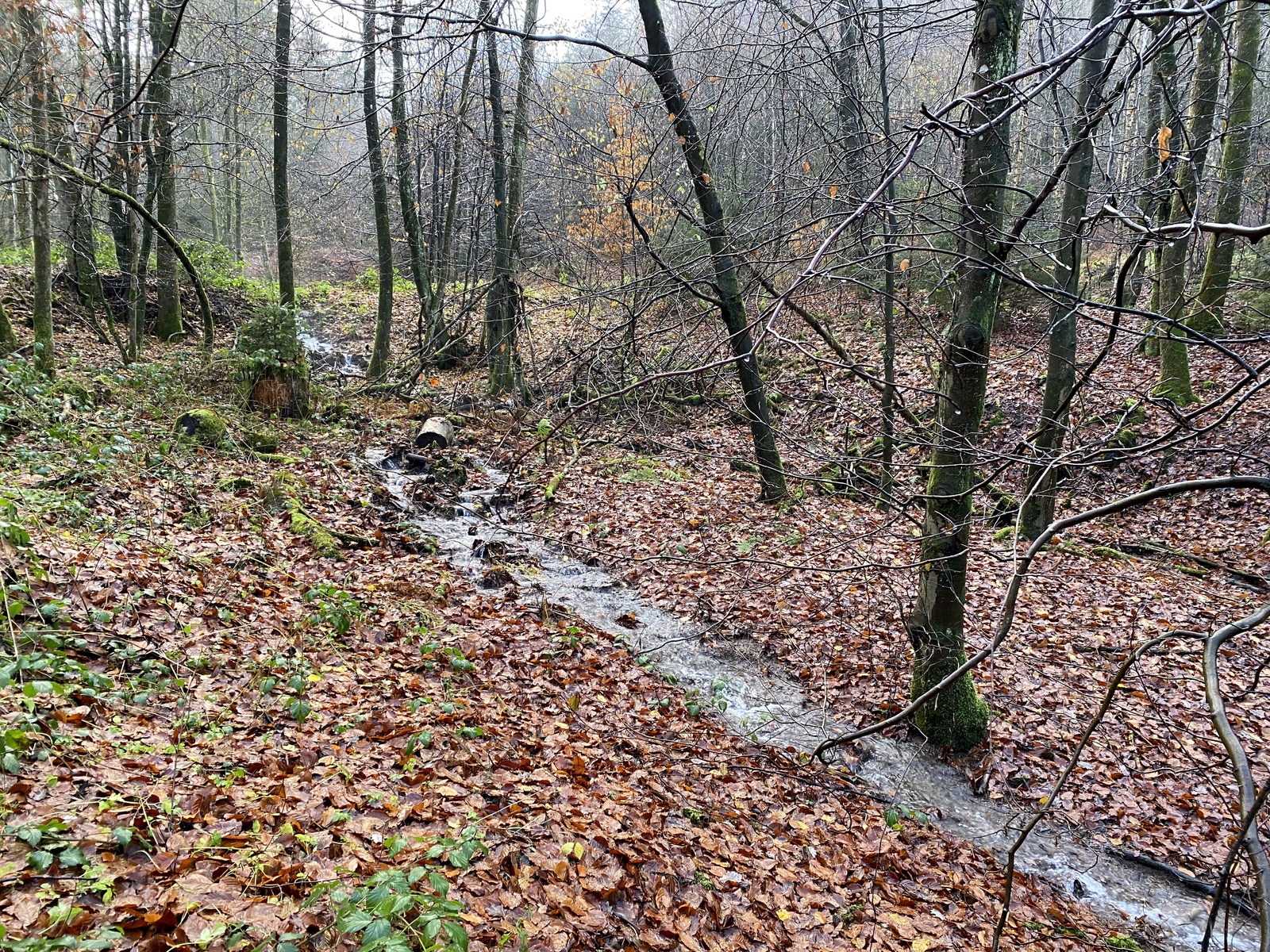 List of Rivers in Germany - 33travels