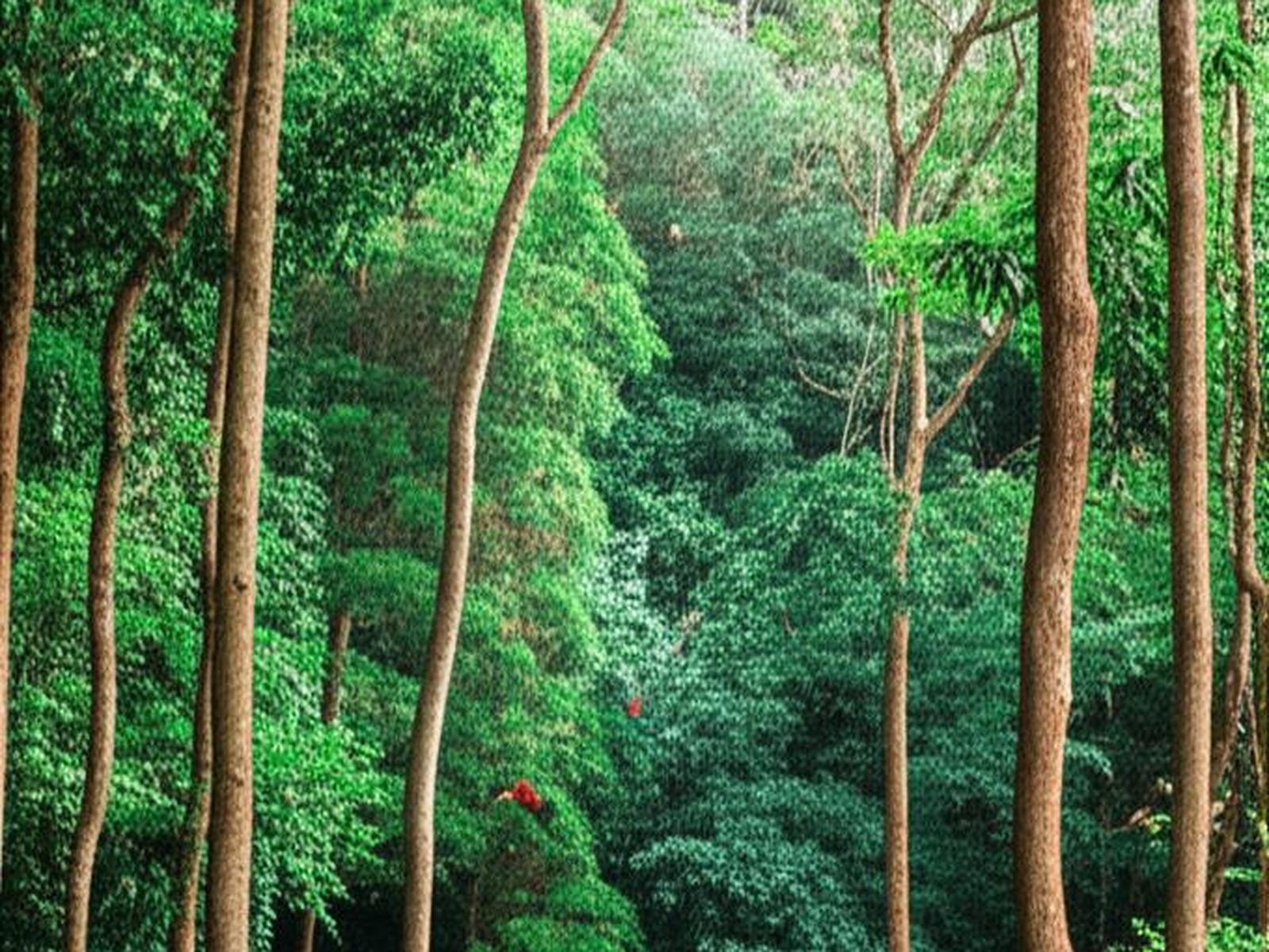 The Complete List of National Parks in Queensland - 33travels