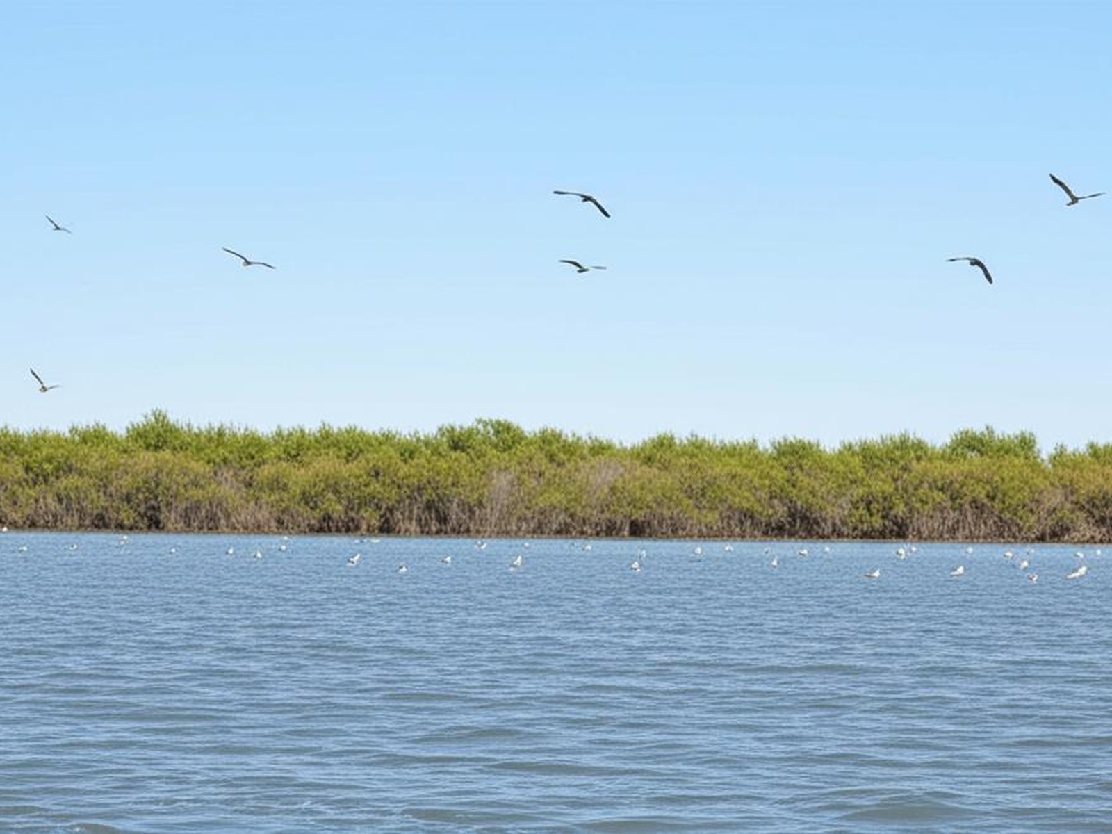 The Complete List of National Parks in Queensland - 33travels
