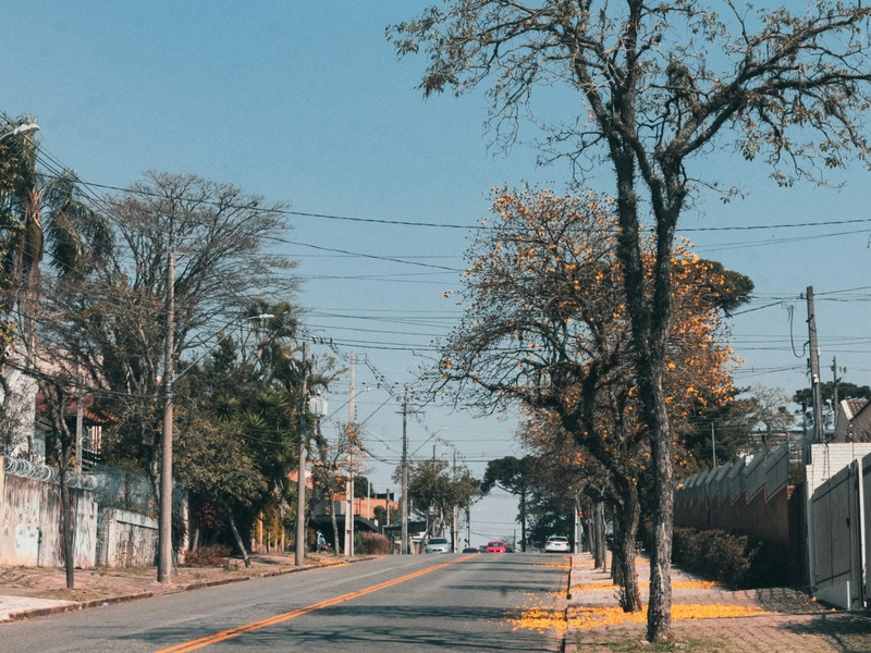 The Complete List of Cities and Towns in Mississippi That Start With E ...