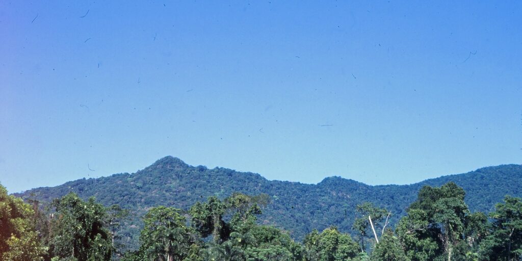 The Complete List of National Parks in Queensland - 33travels