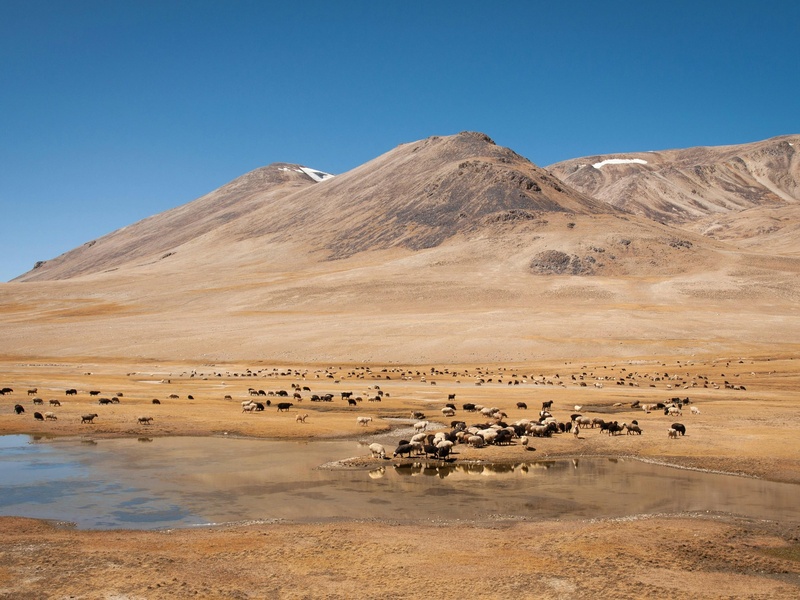 The Complete List of Regions of Asia - 33travels