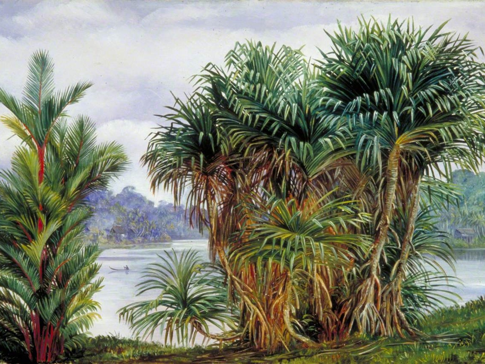 Rivers in Trinidad and Tobago: The Complete List - 33travels
