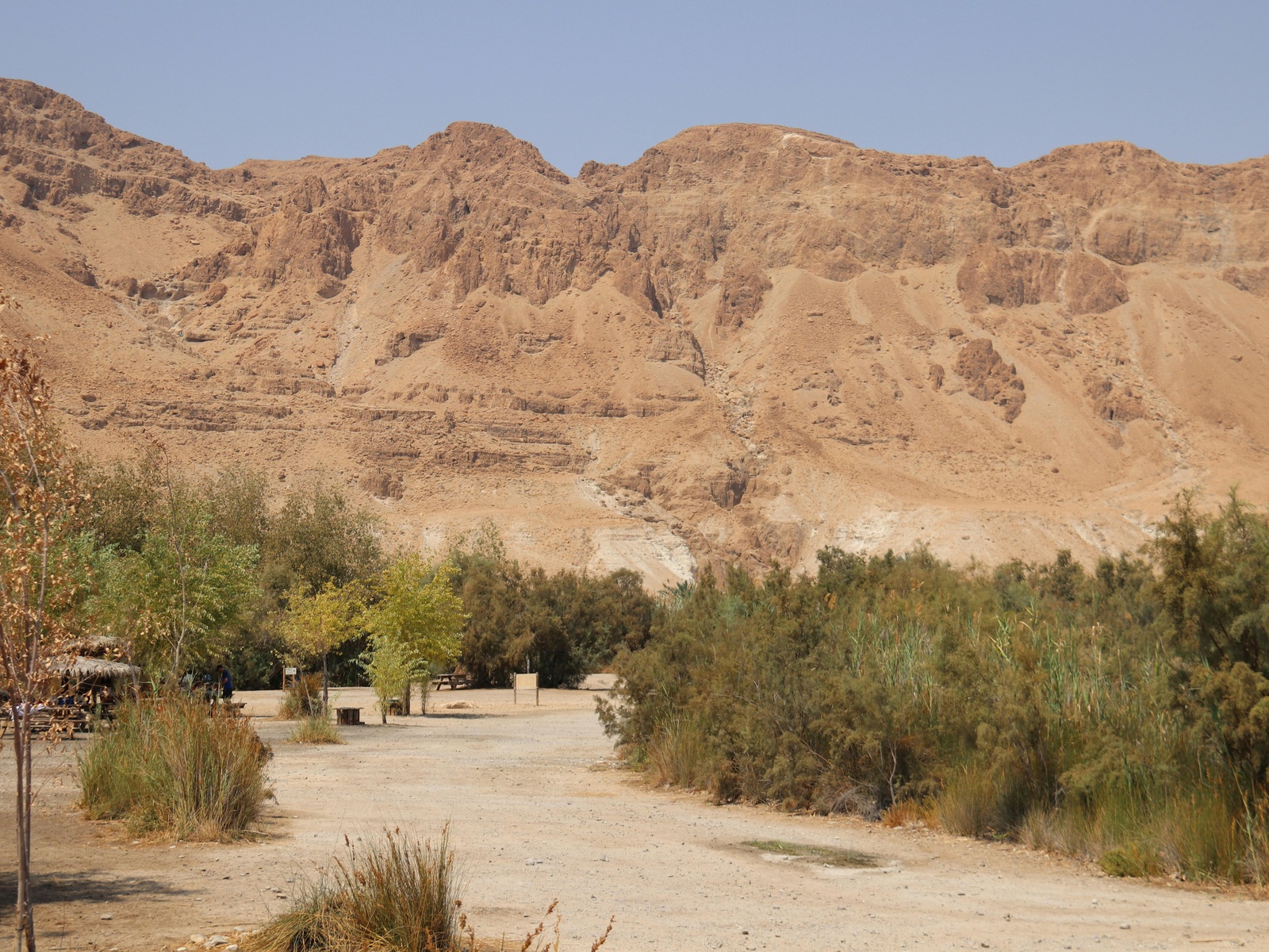 Rivers in the United Arab Emirates: The Complete List - 33travels