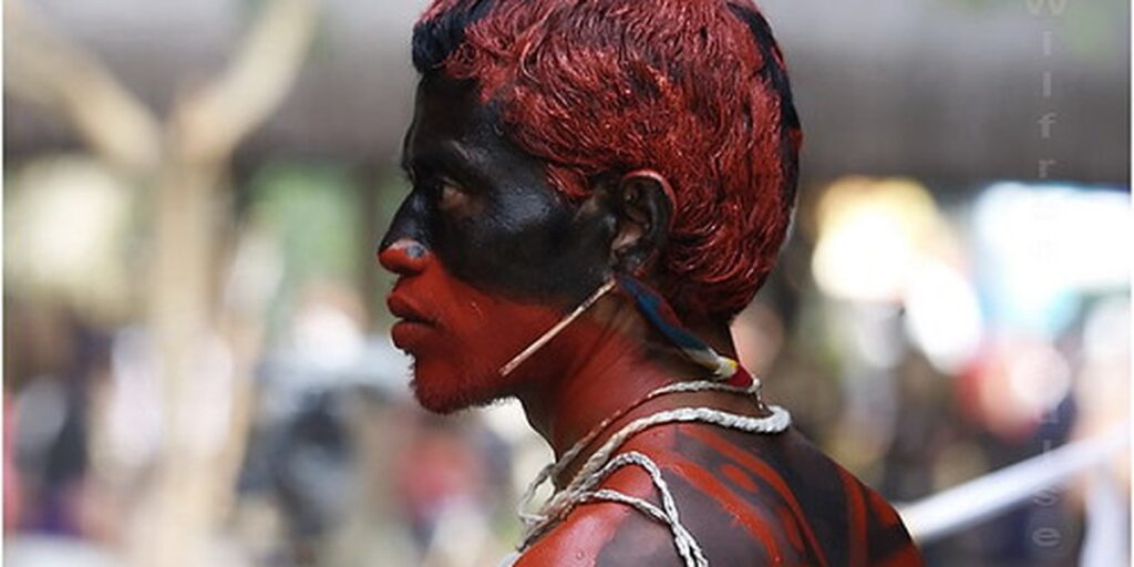 Brazil Ethnic Groups: The Complete List - 33travels