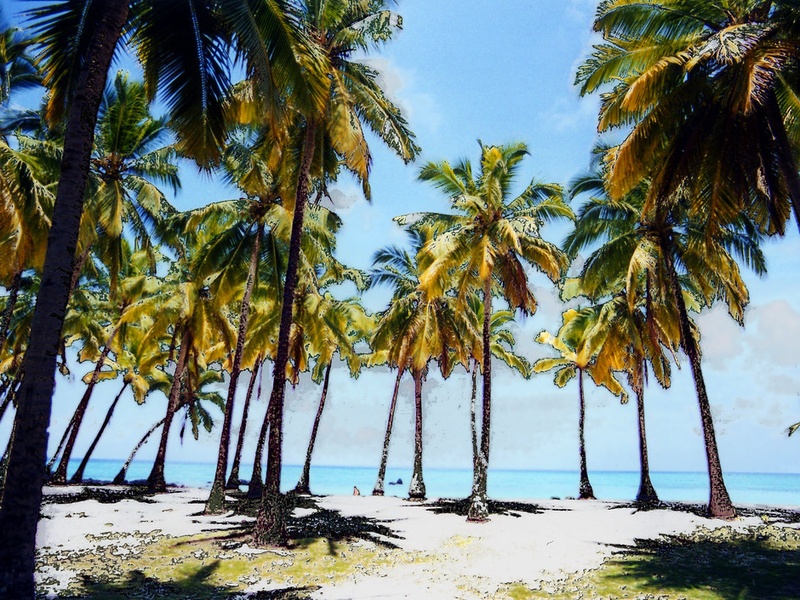 Languages Spoken In Comoros: The Complete List - 33travels