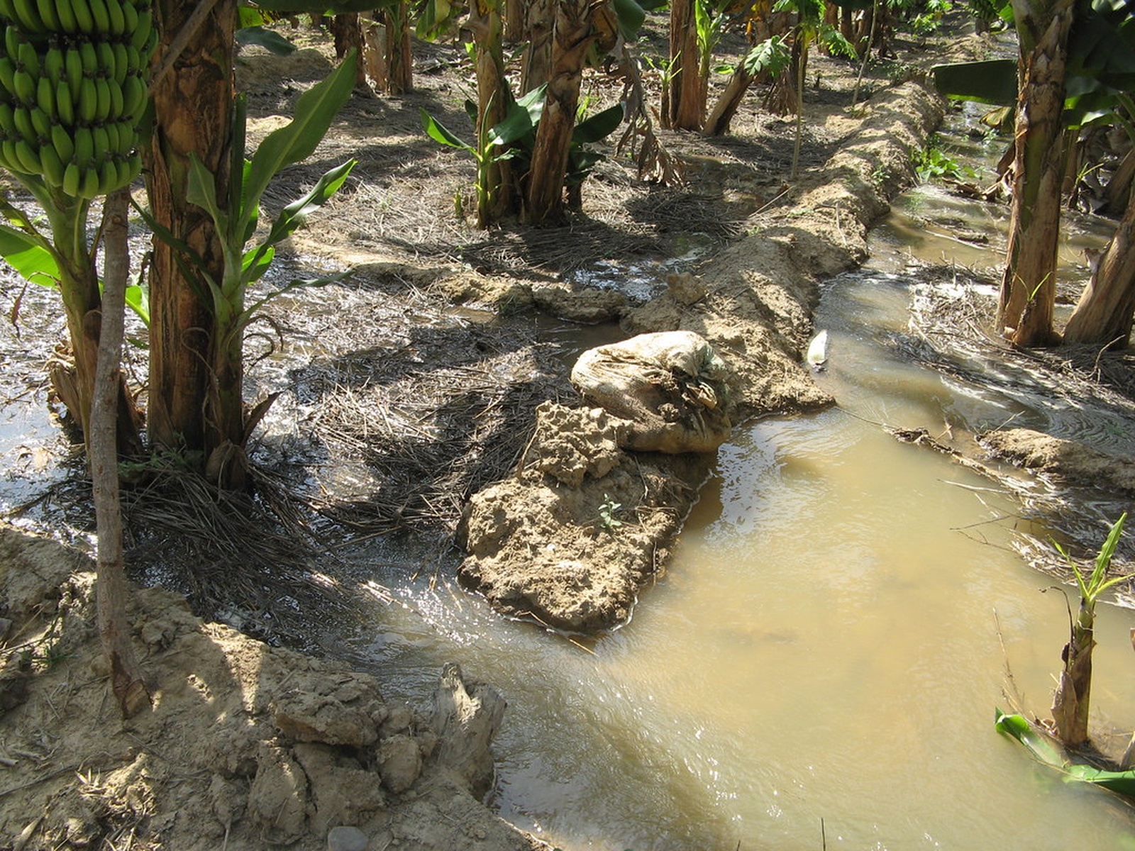 Rivers in Mali: The Complete List - 33travels