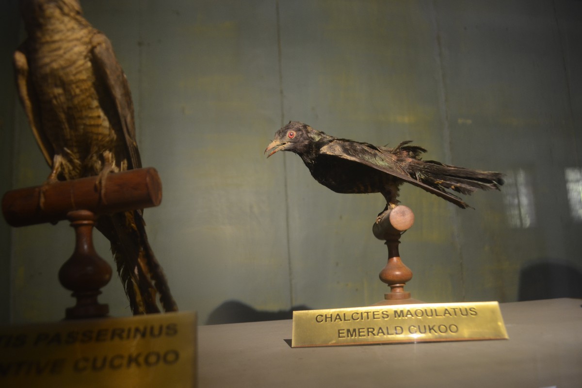 International Emerald Museum in Bogota, Colombia - Museum Information ...
